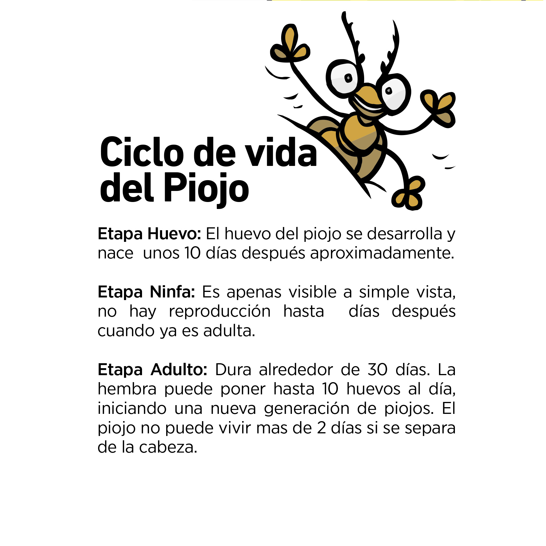 champiojo – Página de Instrucciones