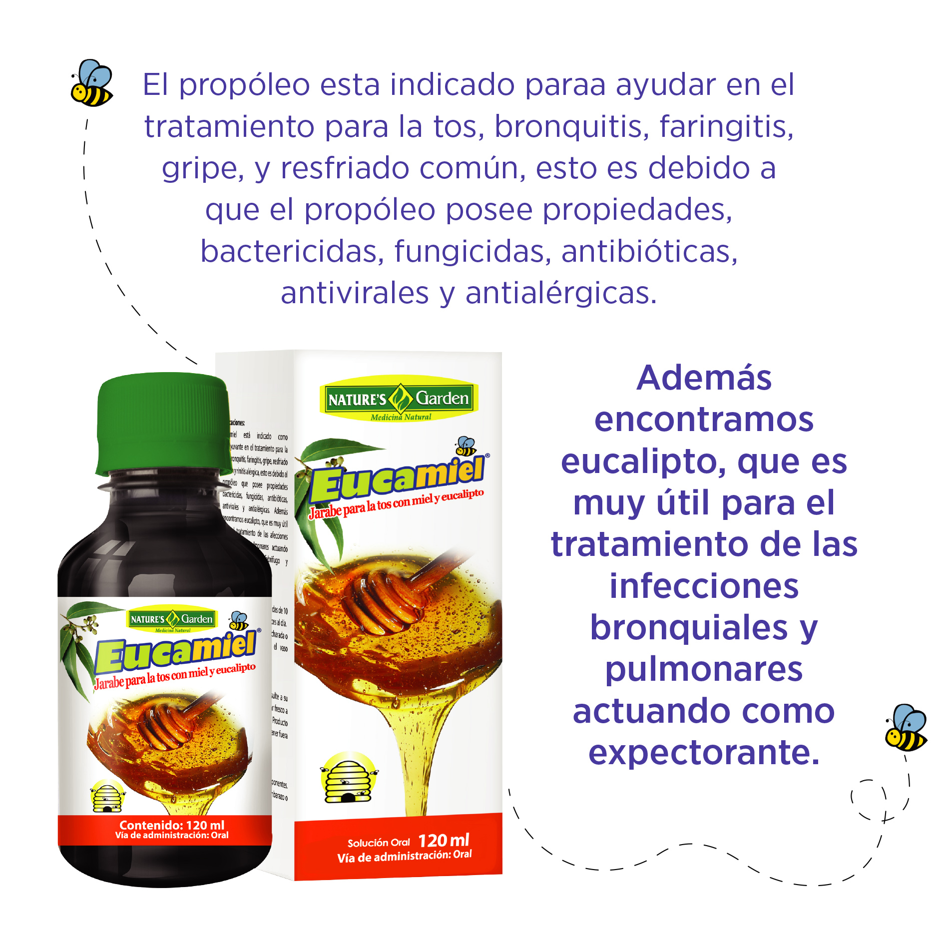 eucamiel – Página de Instrucciones