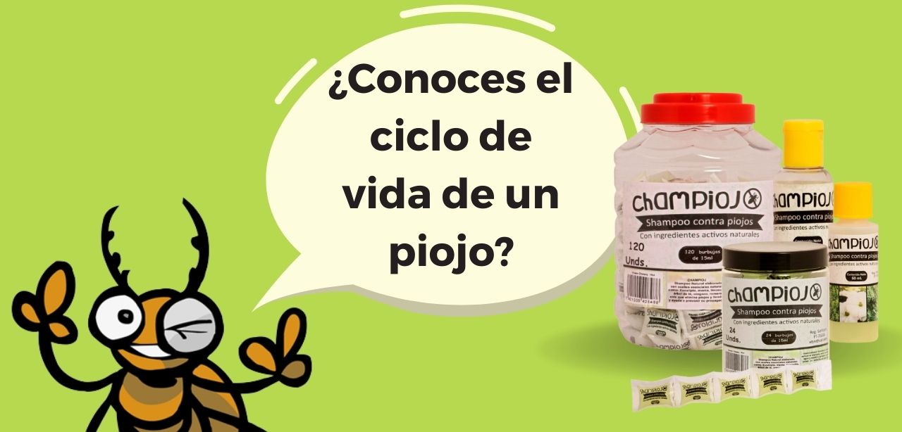 CHAMPIOJO – ciclo del piojo – Página de Instrucciones