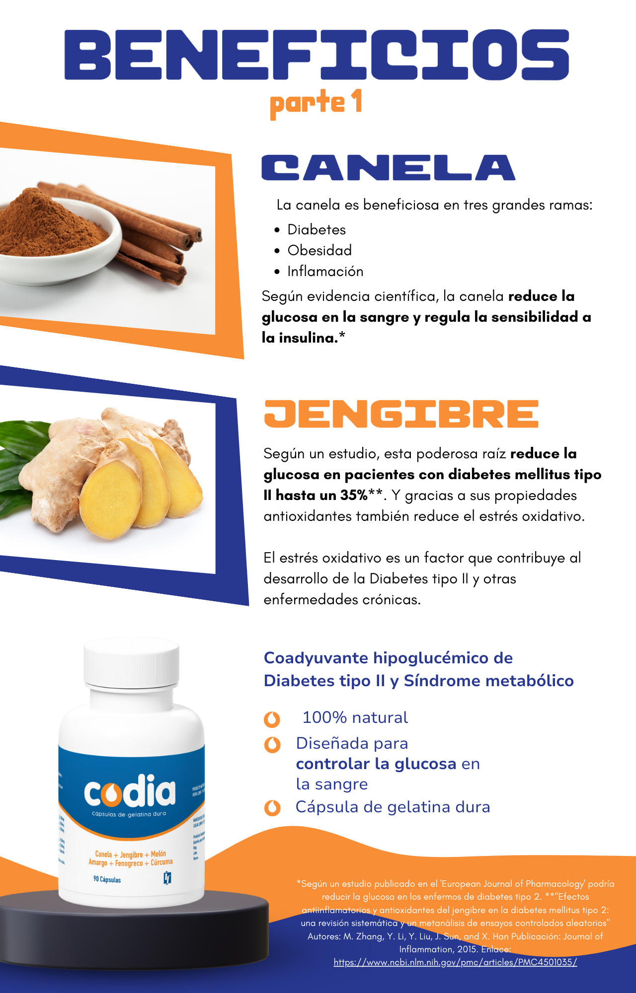 beneficios codia parte I – Página de Instrucciones