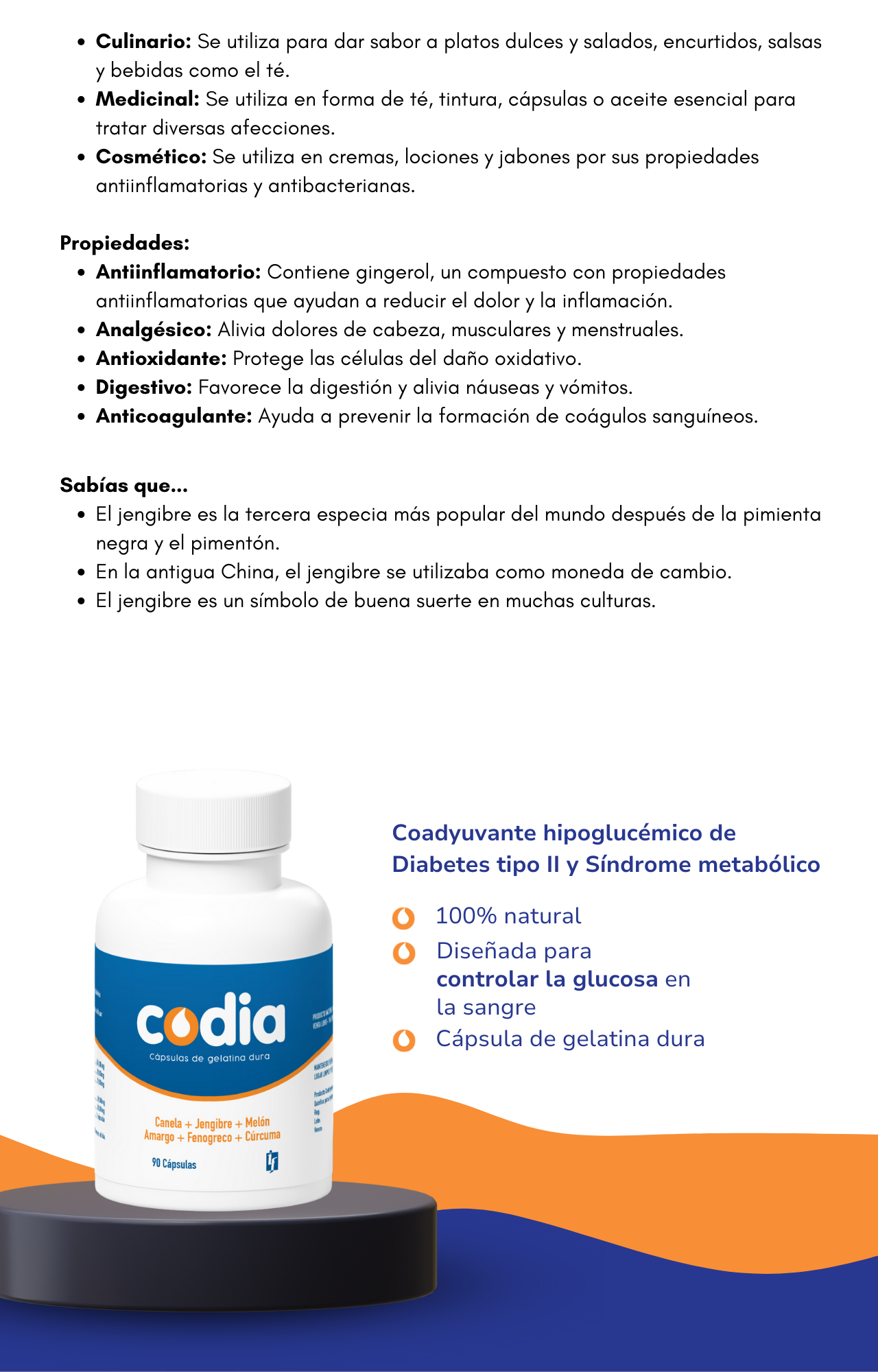 COMPONENTES CODIA PARTE I – Página de Instrucciones