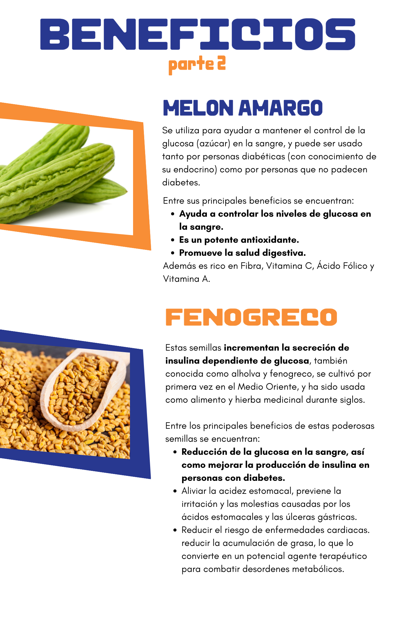 beneficio parte II codia – Página de Instrucciones