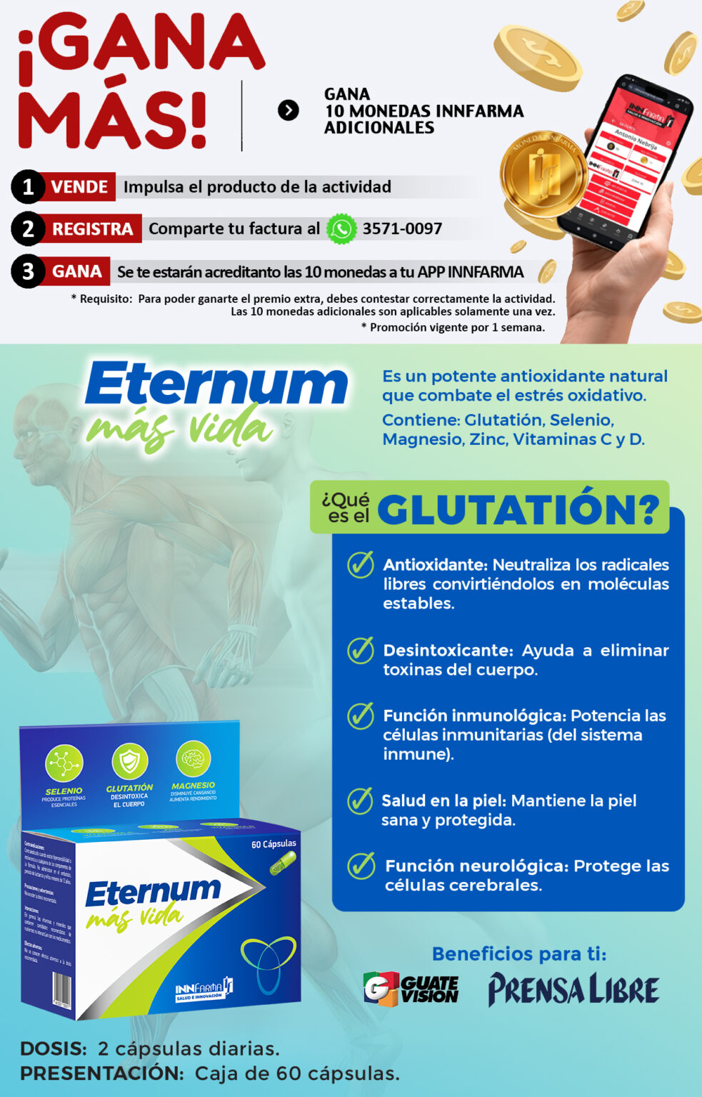 Eternum – Página de Instrucciones